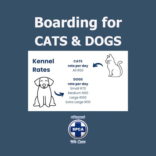 uMngeni SPCA Boarding Kennel Rates - Help Us Help Them - HiltonVillage ...