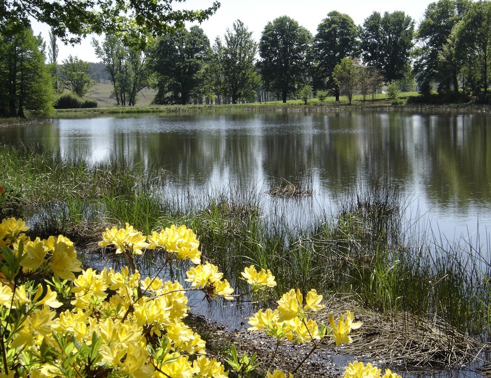 It is picnic season at beautiful Benvie - HiltonVillage.co.za