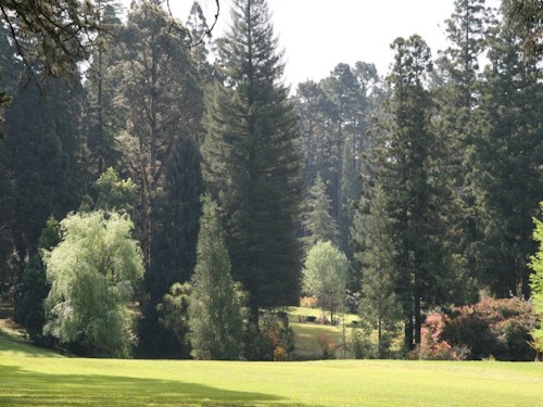 It is picnic season at beautiful Benvie - HiltonVillage.co.za