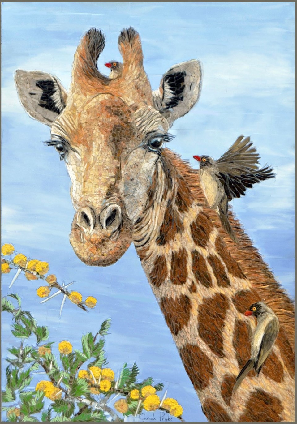 Sarah Pryke shares a little of her fascination with mosaic art ahead of ...